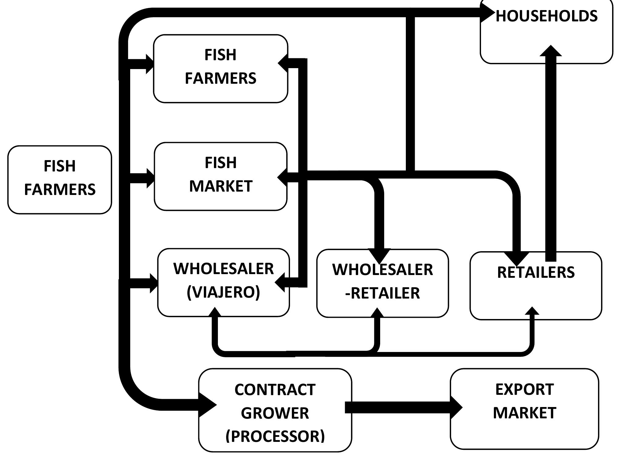 The fish supply chain of the philippines of small-scale