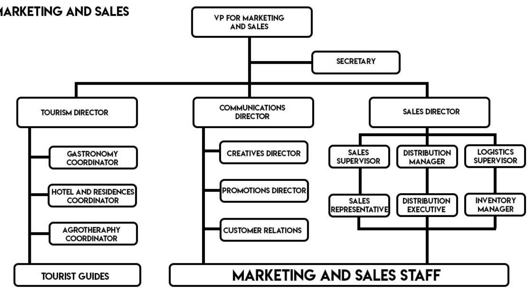 Marketing and sales cluster organizational chart