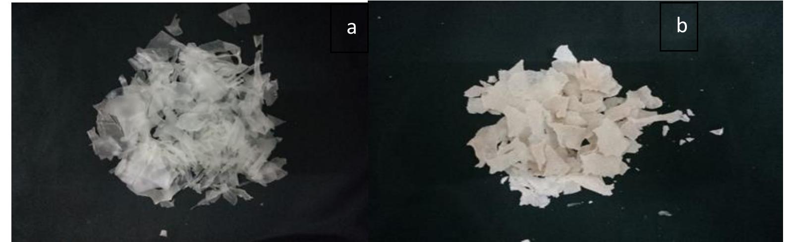 Results and discussions in soil burial test (12 days) the