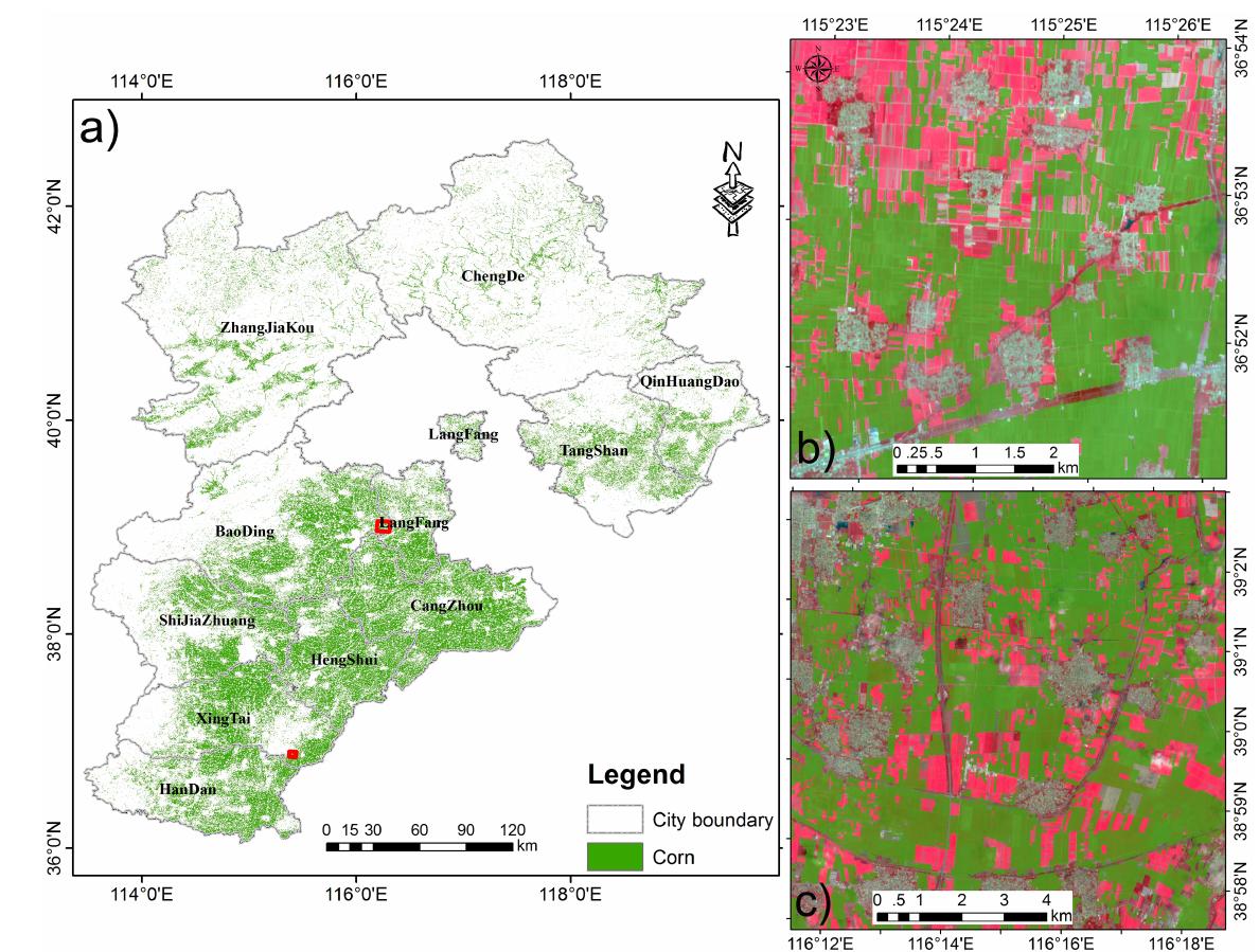 Corn map of hebei province, which integrates the pixel-based