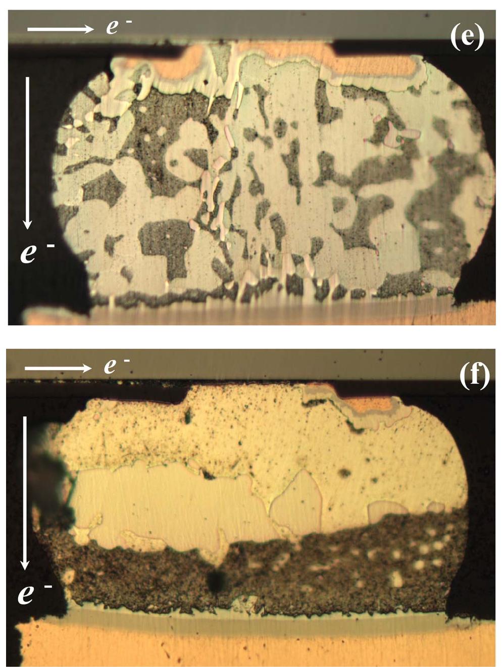Optical microscope images of the cross-sectioned surface of