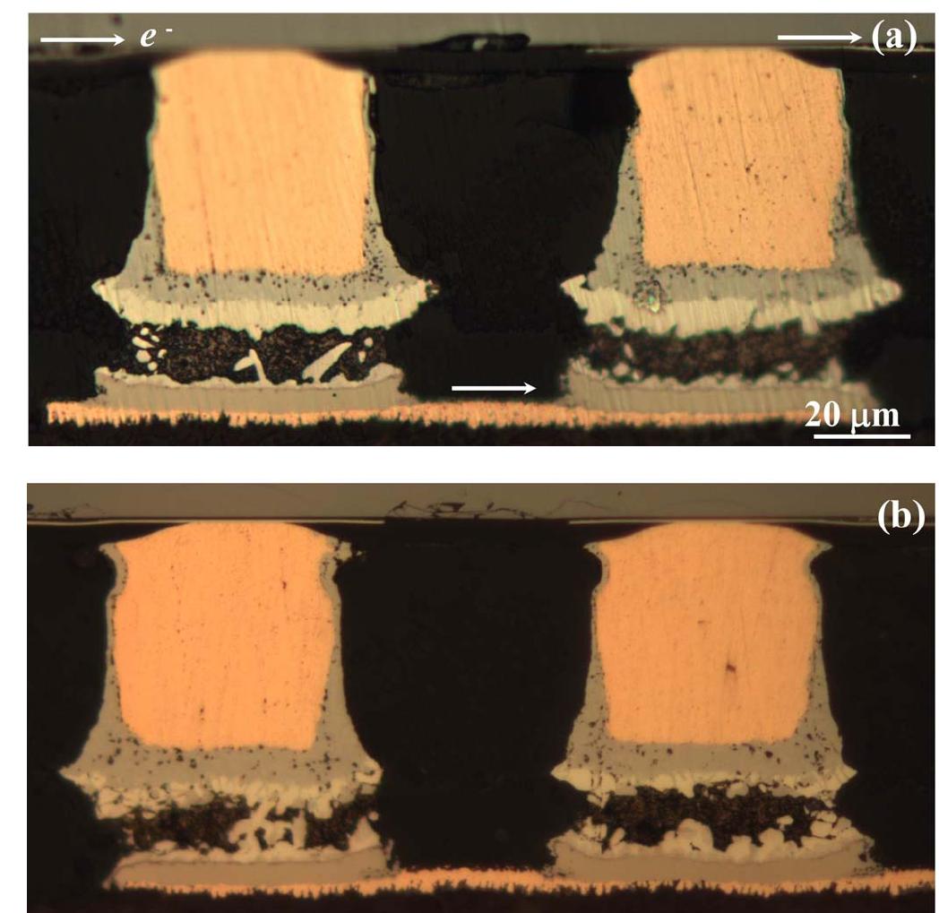 Optical microscope images of the cross sectioned flip chip