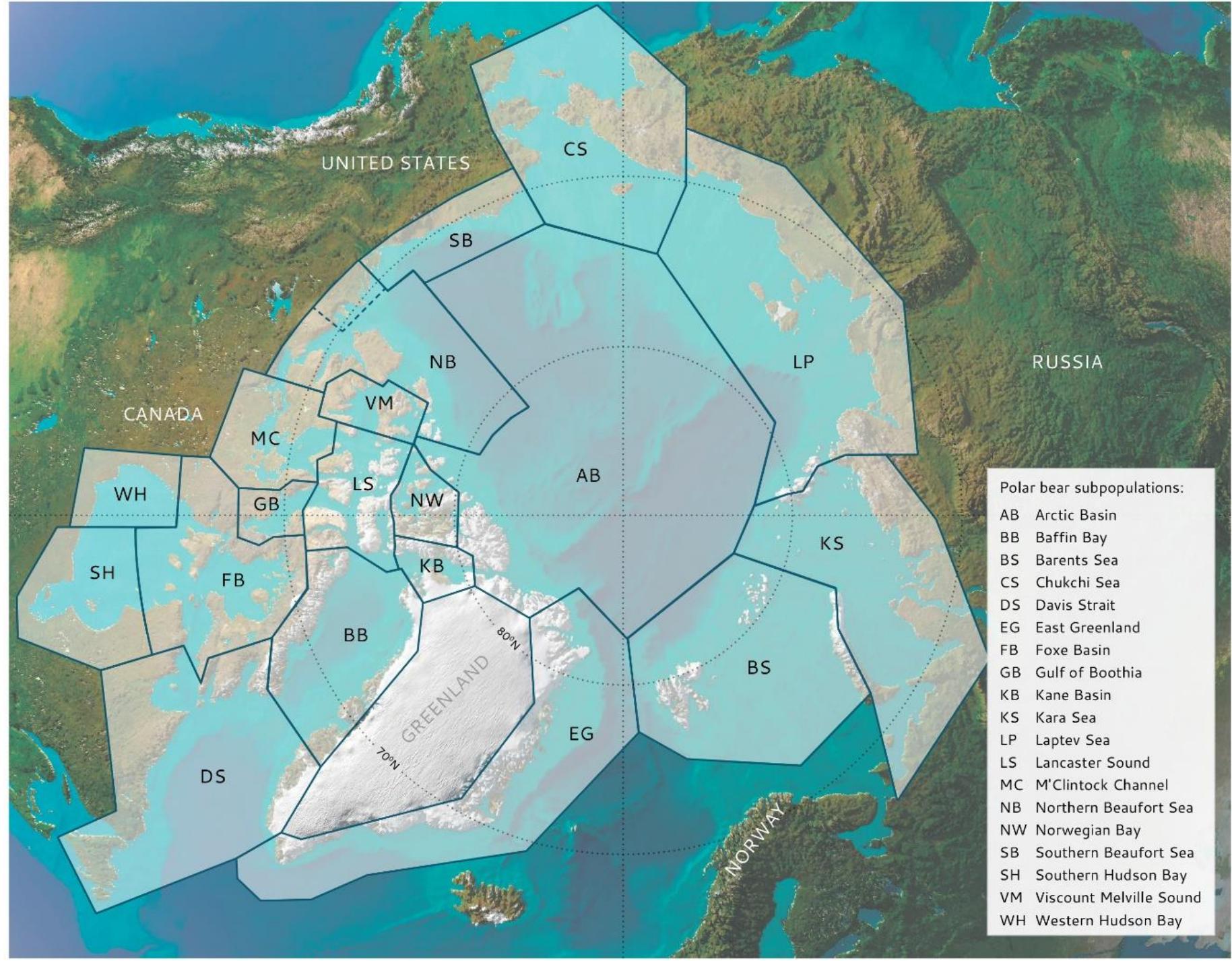Arctic distribution map of the world’s 19 polar bear