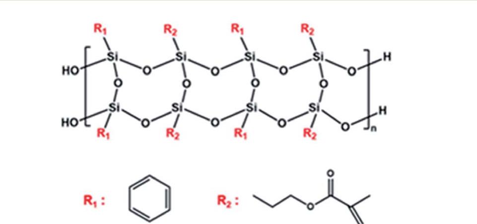 The chemical structure of ladder-like polysilsesquioxane