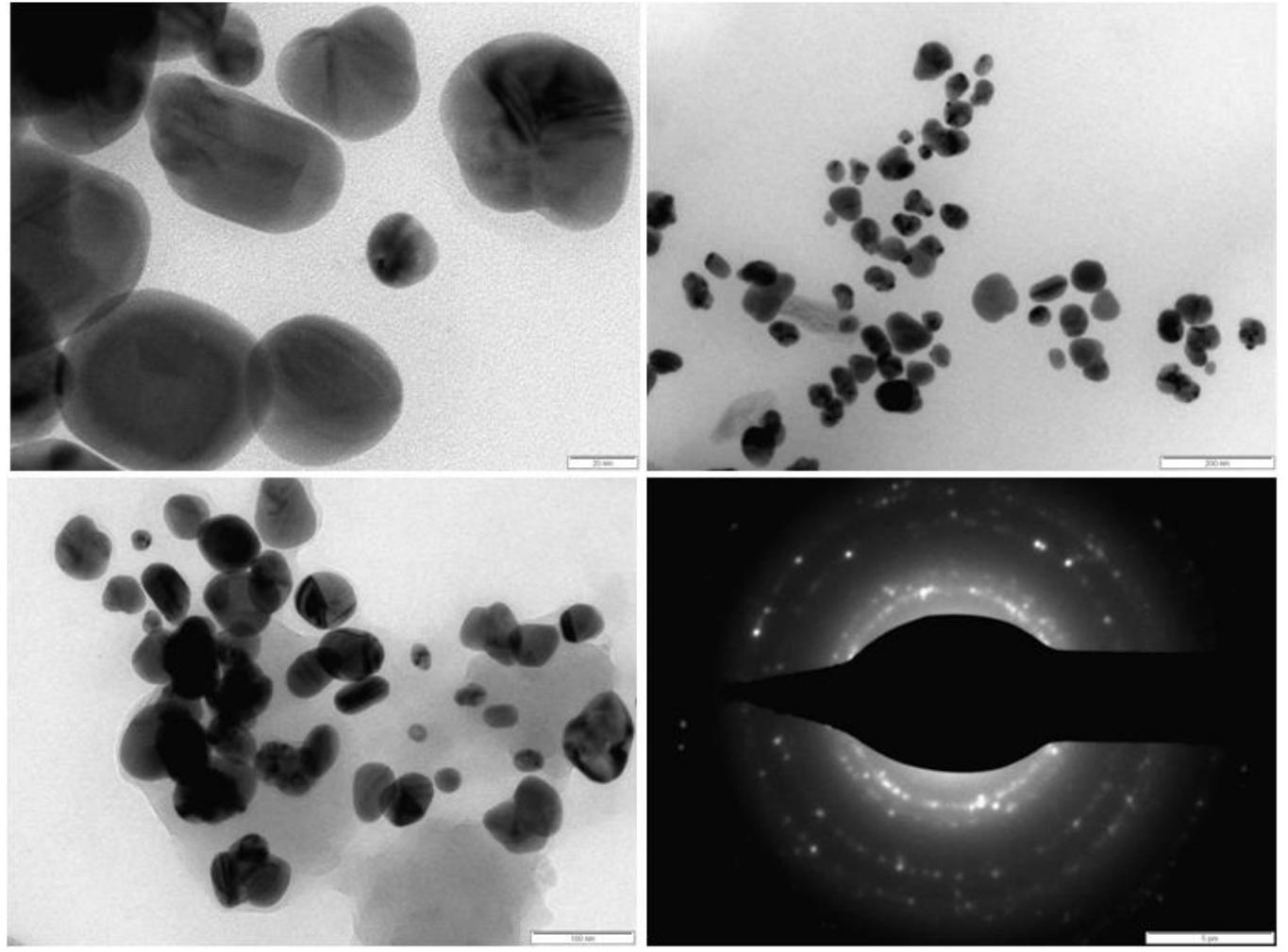 .tem image of agnps from saed pattern confirms that the