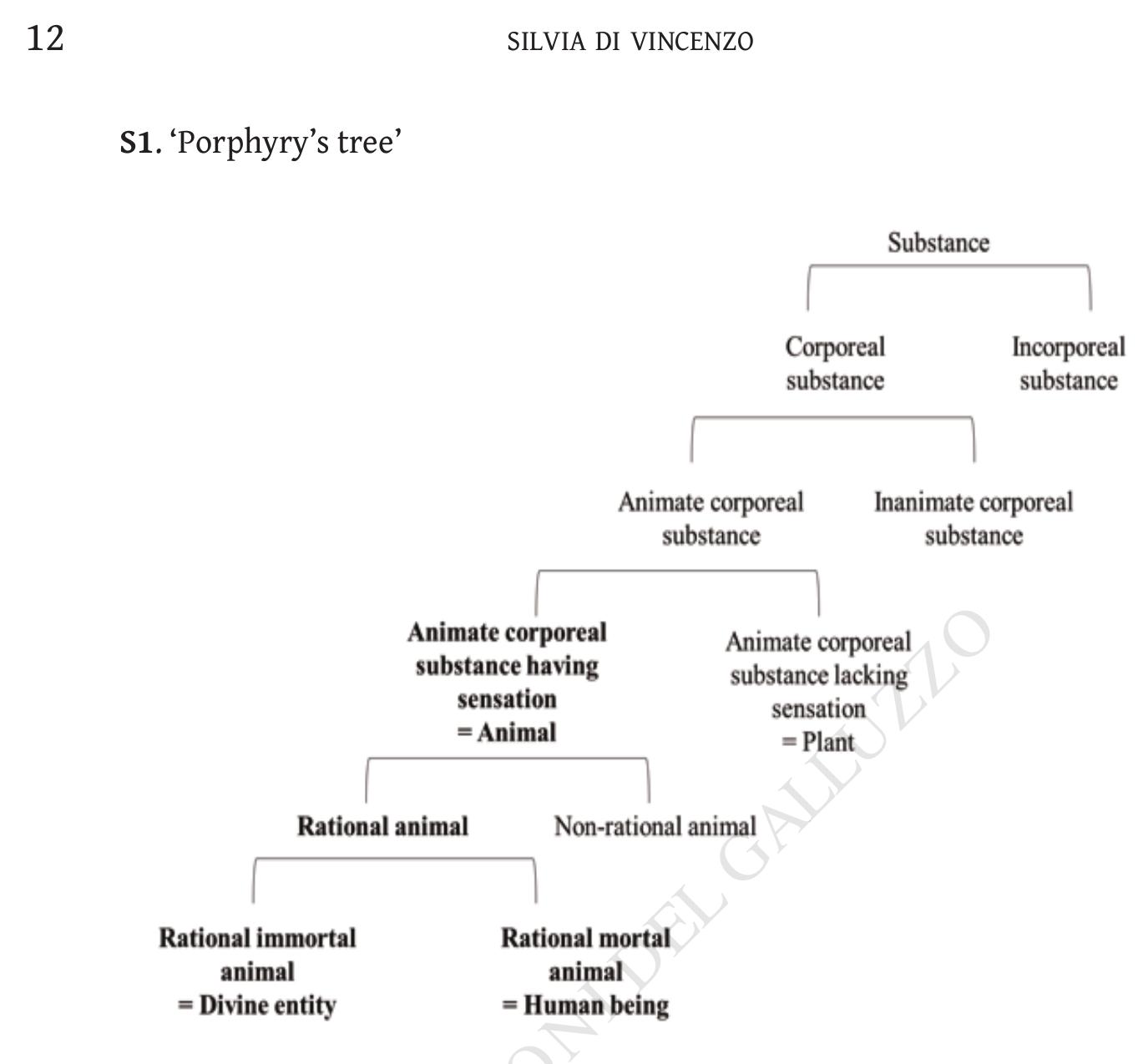 Figure 1 - from «Avicenna’s legacy to the thirteenth-century