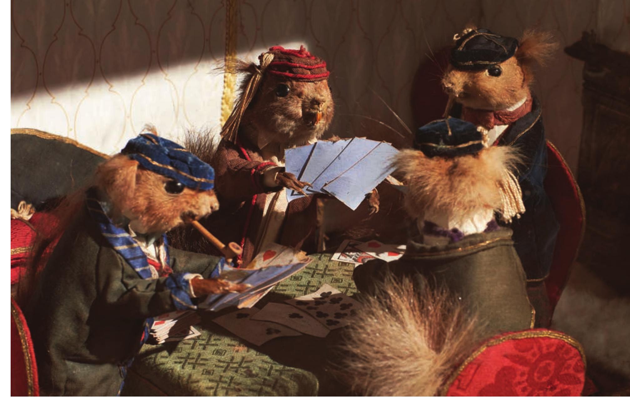 Taxidermy diorama of squirrels playing cards, 1900-10.
