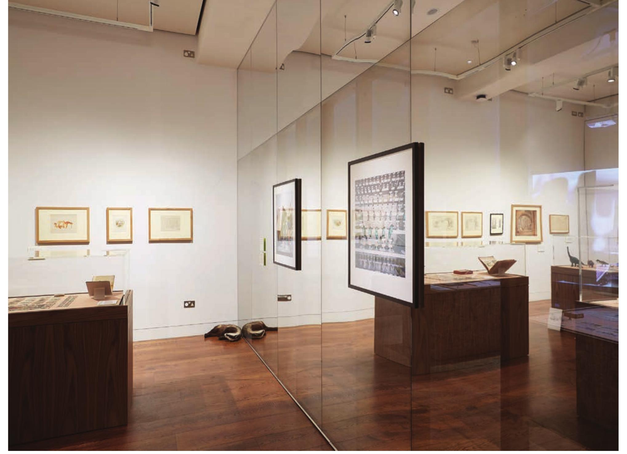 Making nature, exhibition displays, 2017, photograph: thomas