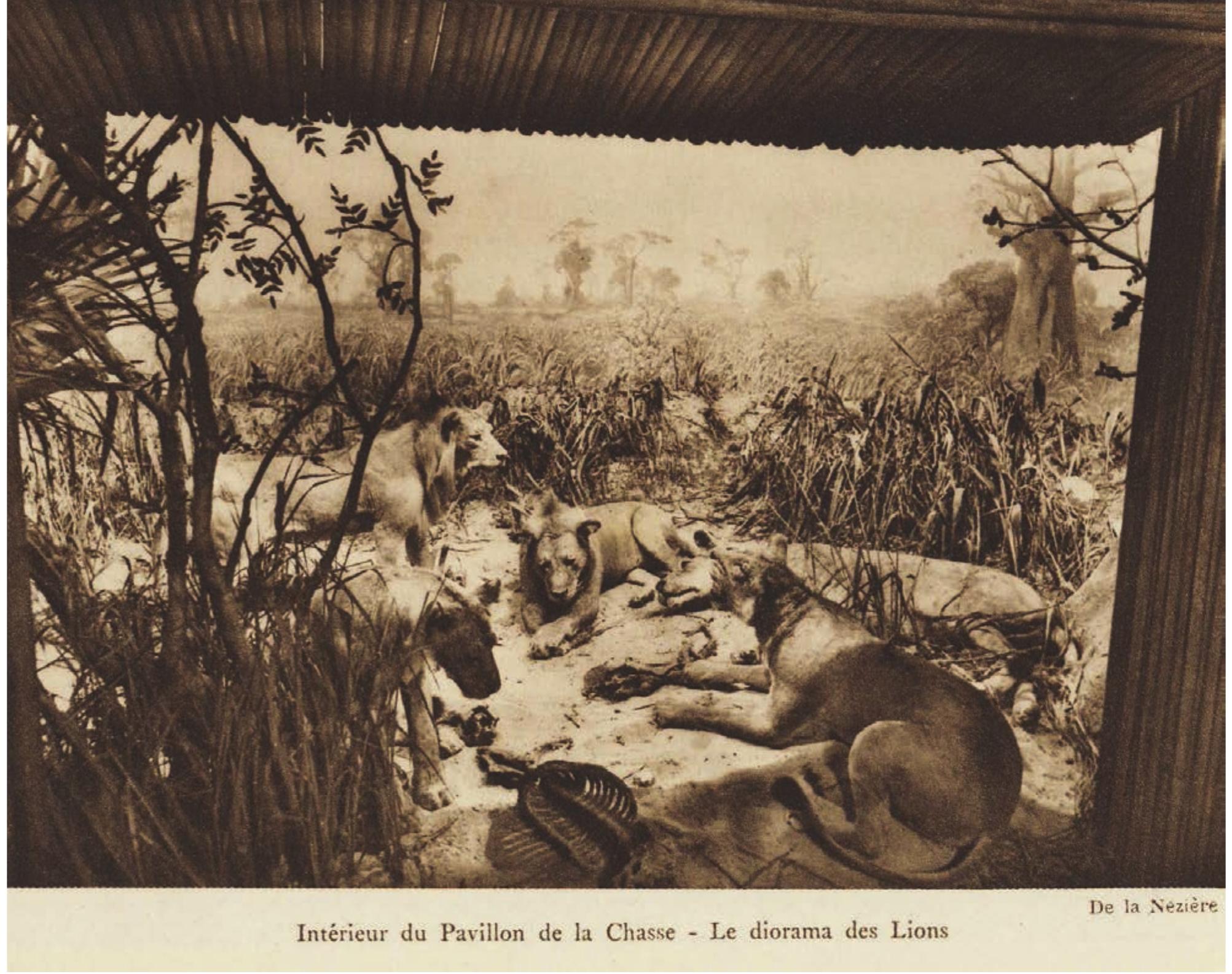Interior of the hunting pavilion - the diorama of the lions,