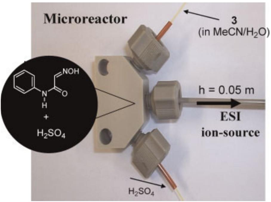 Figure 3 - The mechanism of Sandmeyer's cyclization reaction