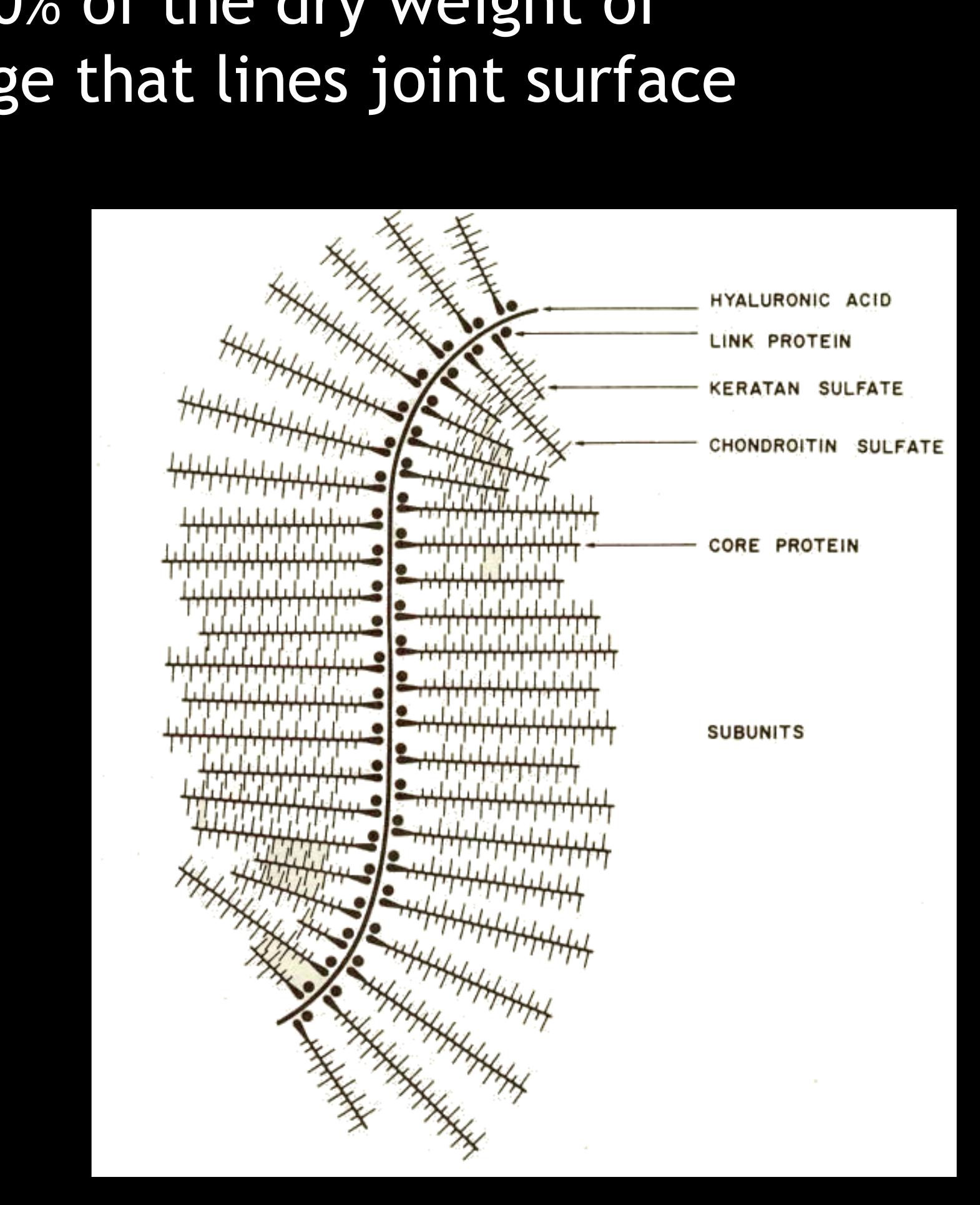 Figure 15 - from Biomechanics of Articular Cartilage
