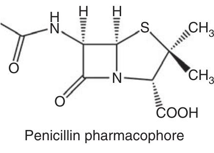 Chemical structure of penicillin g and v.
