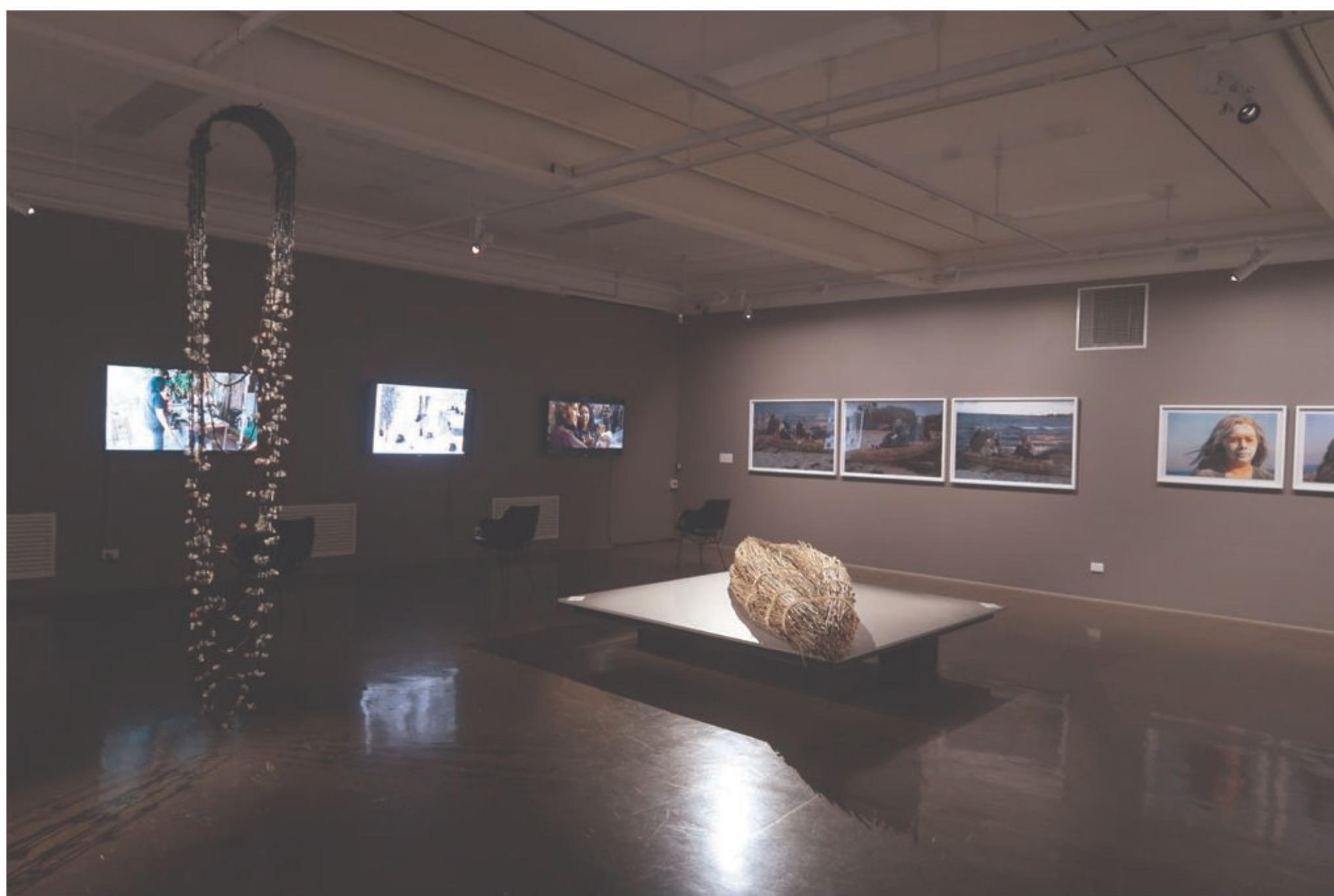 Figure 11 - The Living Archive of Aboriginal Art: Maree