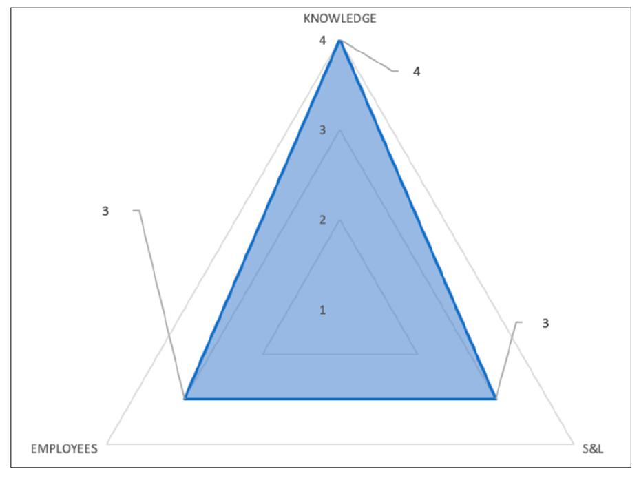 Radar chart visualizing logistics 4.0 maturity in
