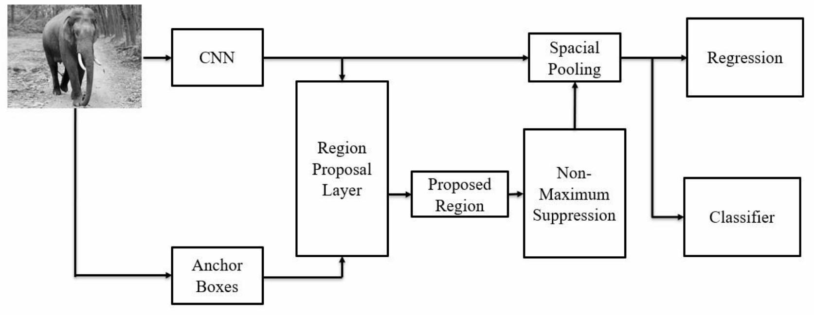 Block diagram of region based convolution neural network
