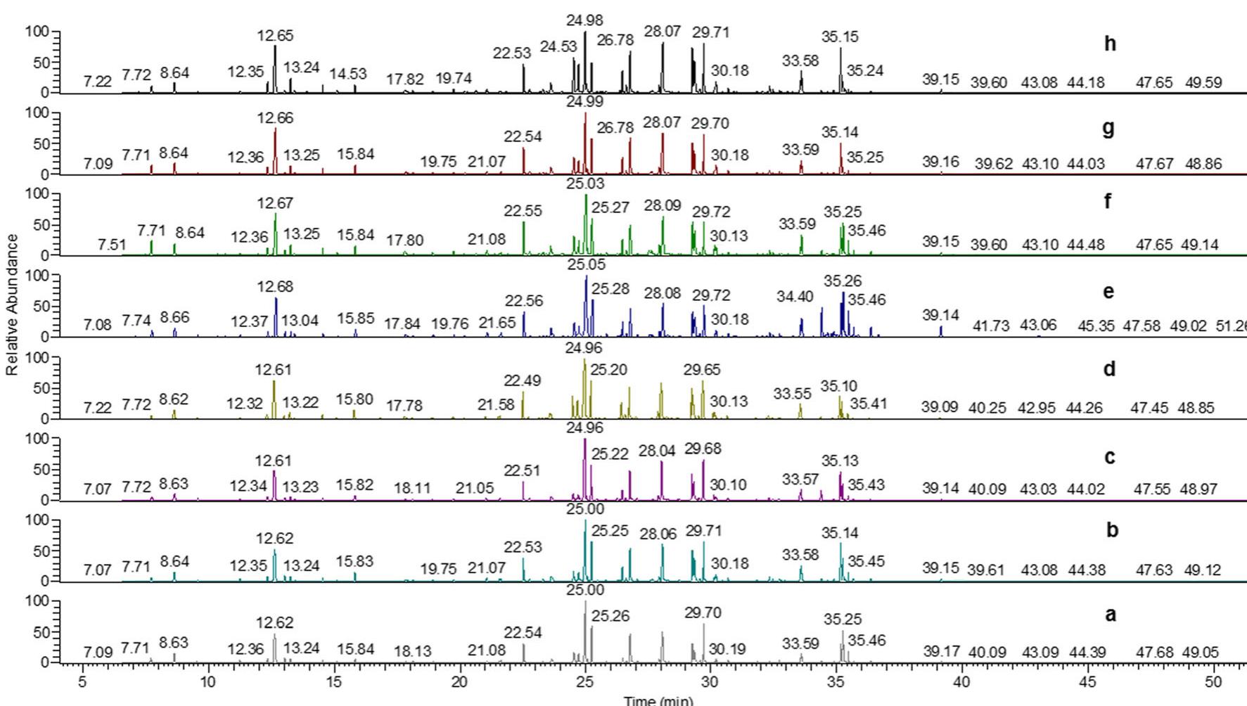 Typical gc-ms total ion current (tic) chromatogram of brain