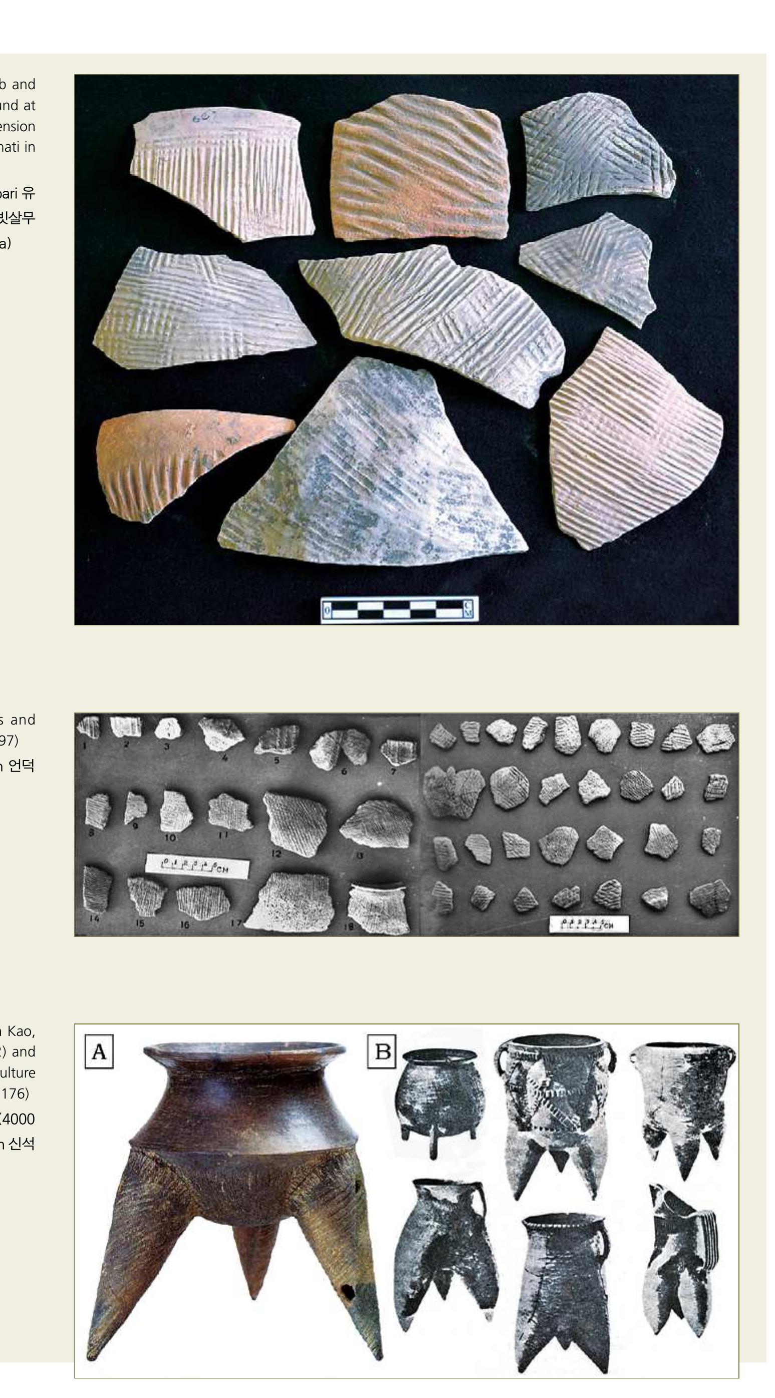 Figure 5 - Neolithic Pottery of Eastern Himalaya and