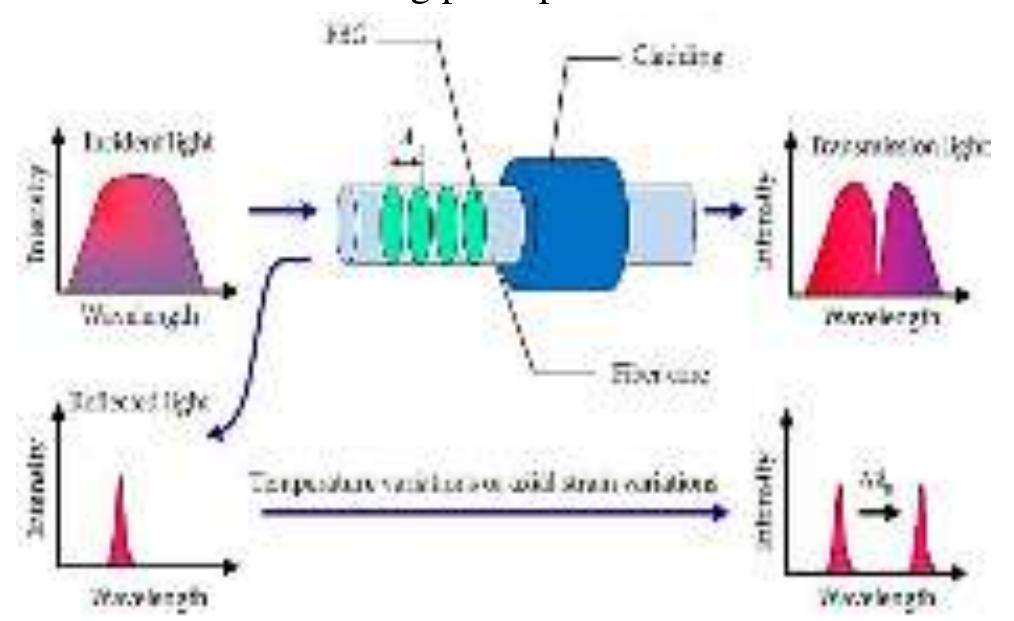 Diagram of the working principle of the bragg gratings.