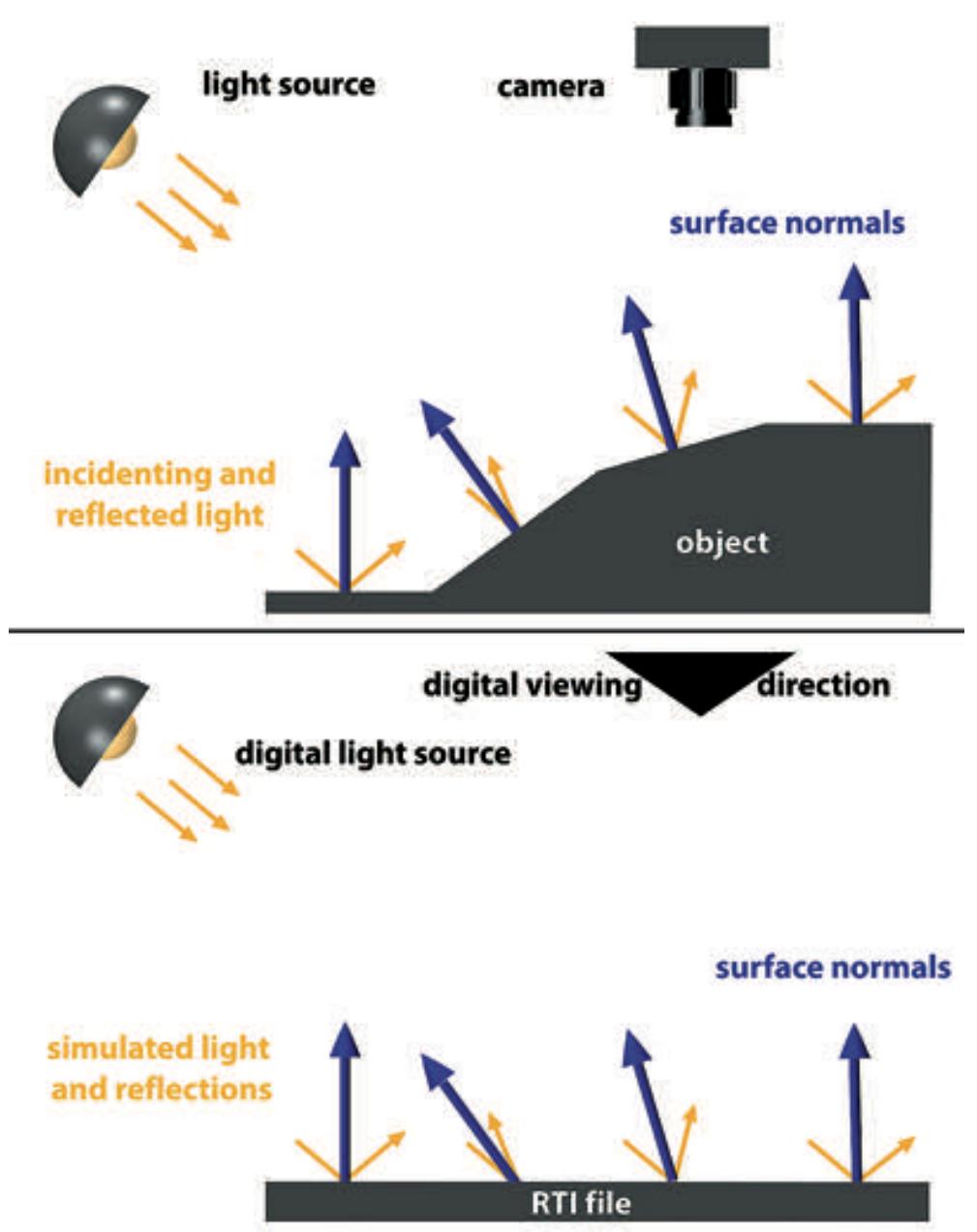 The surface normals (blue) are rectangular to the surface