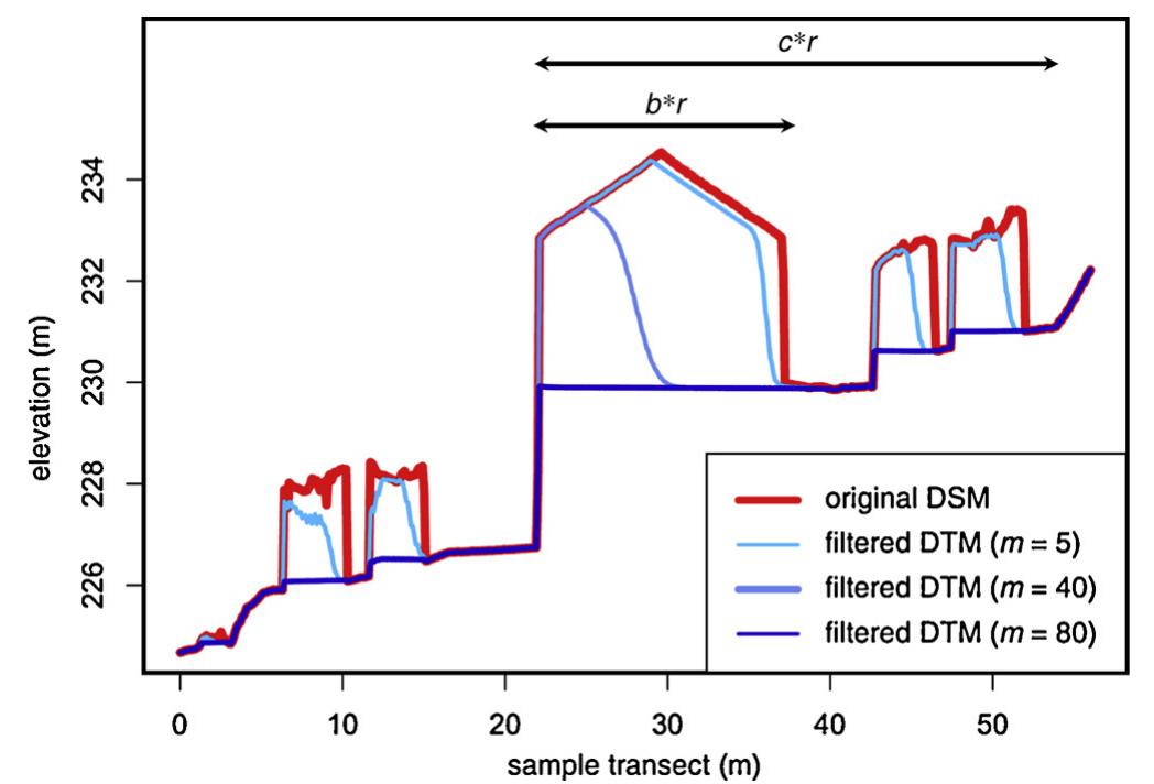 Schematic side-view transect elevation profile of a dsm and