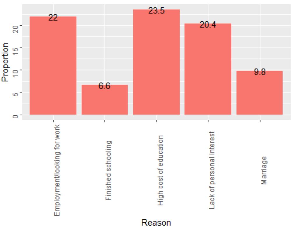 (PDF) Reasons for School Dropout in the Philippines