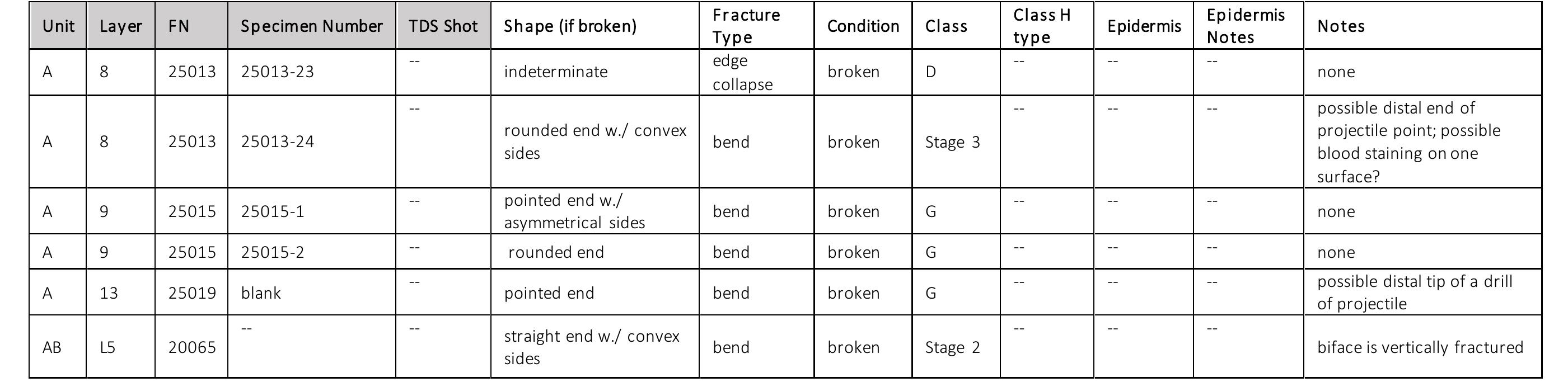 C.9: skiles shelter bifacial tool coding results. table c.9