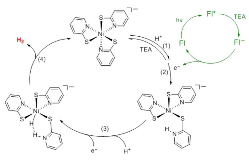 Proposed mechanism of hydrogen formation by complex la Proposed mechanism of hydrogen formation by complex la