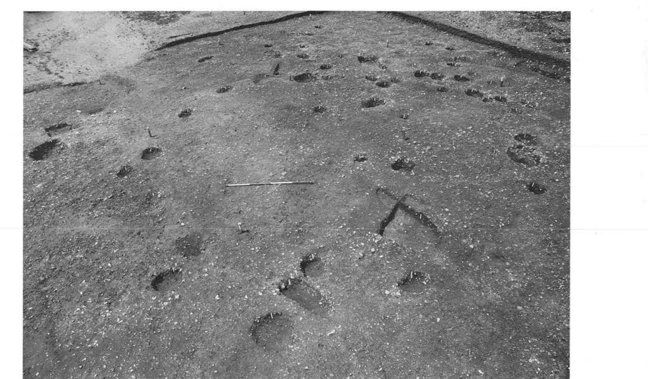 Plate vii barham: view towards the n.w., showing the area of