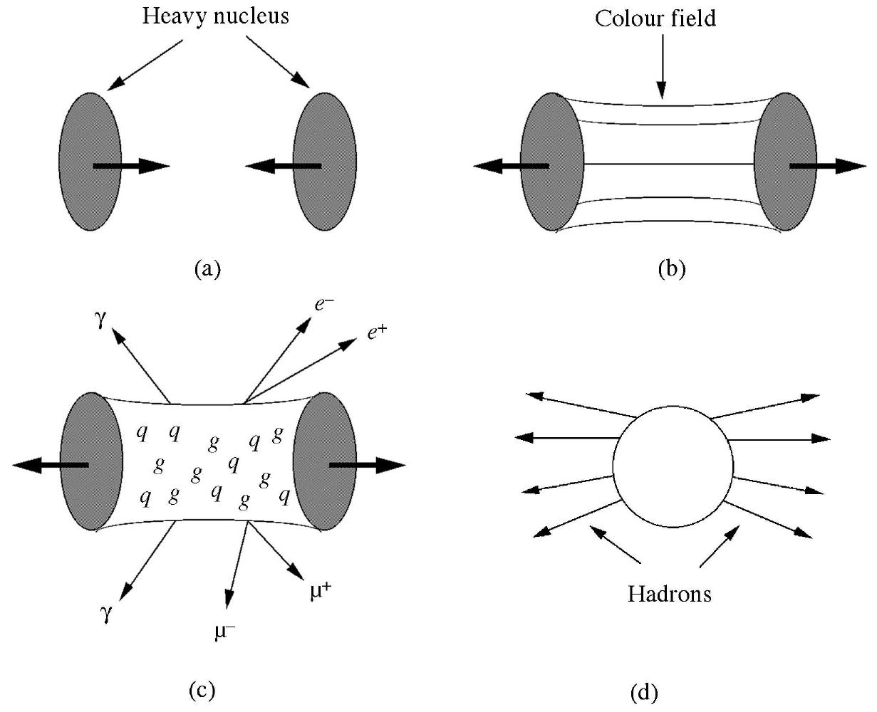 11 stages in the formation of a quark--gluon plasma and
