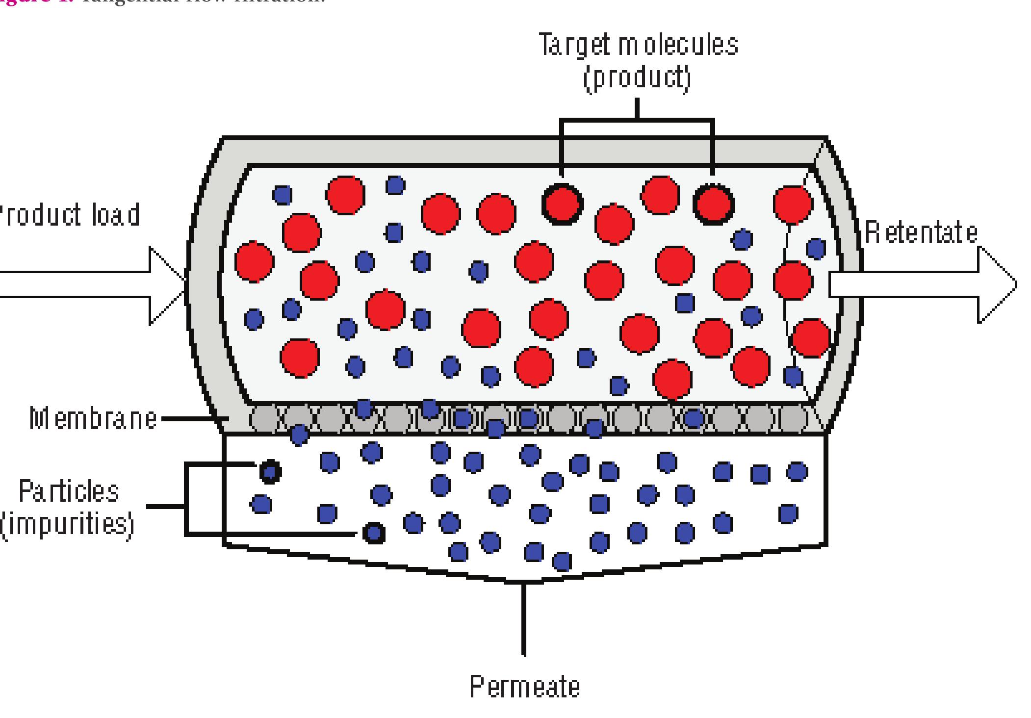 (PDF) Ultrafiltration and Diafiltration