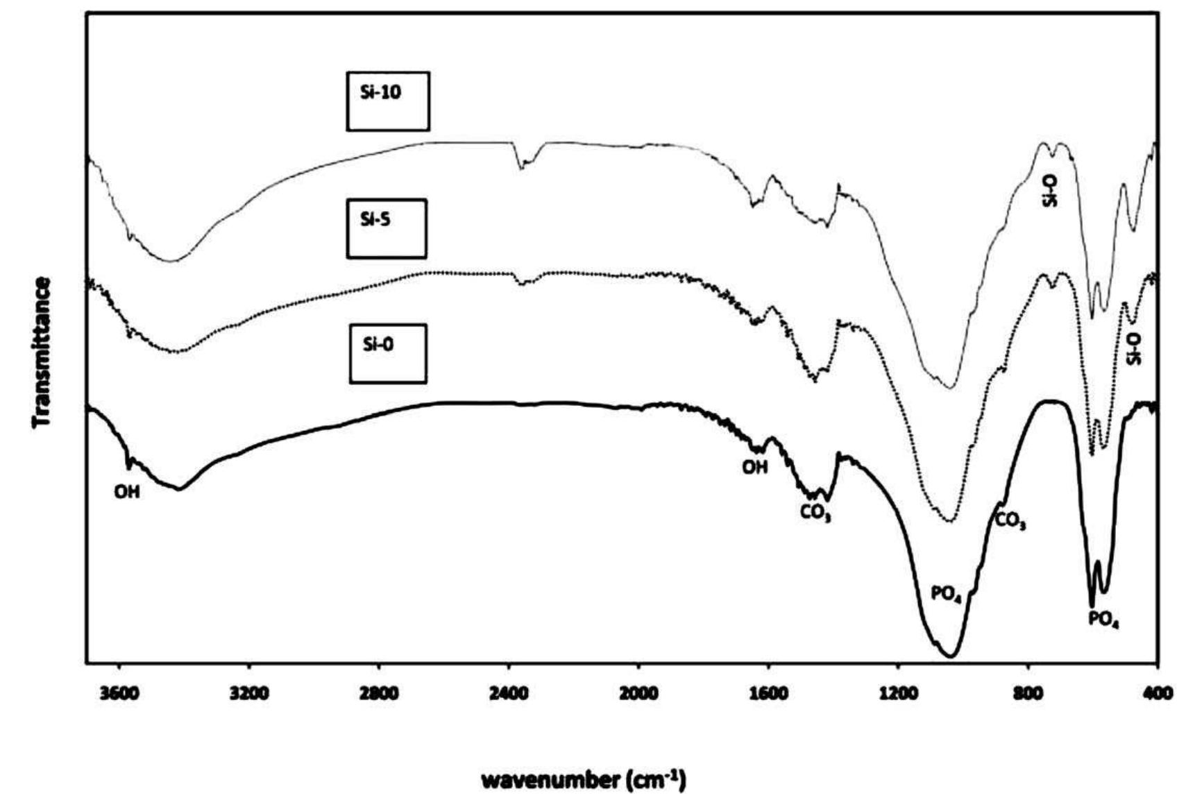 The ftir spectra of calcium phosphate cements soaked in sbf