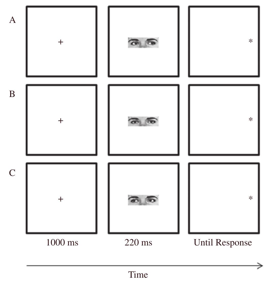 Example of the trial sequence for the (a) congruent eye-gaze