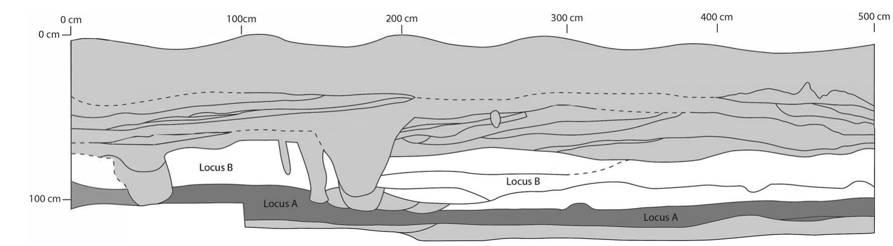 Profile map of excavation trench in neighborhood 1 showing