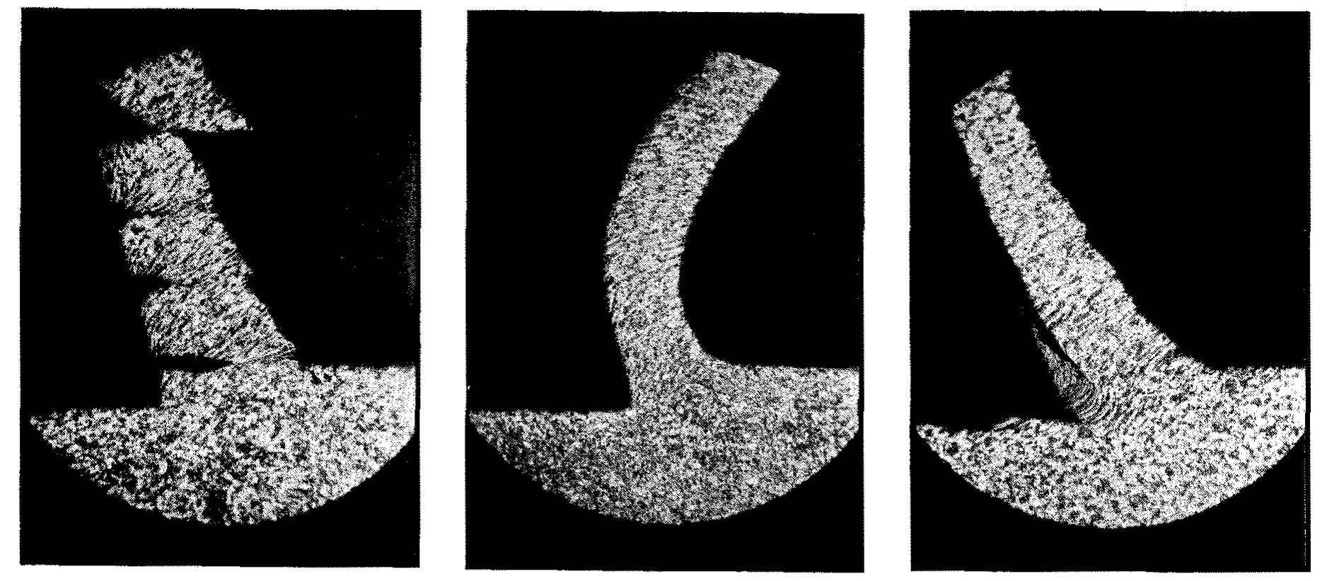 “1g. 1. the three basic chip types according to ernst: type