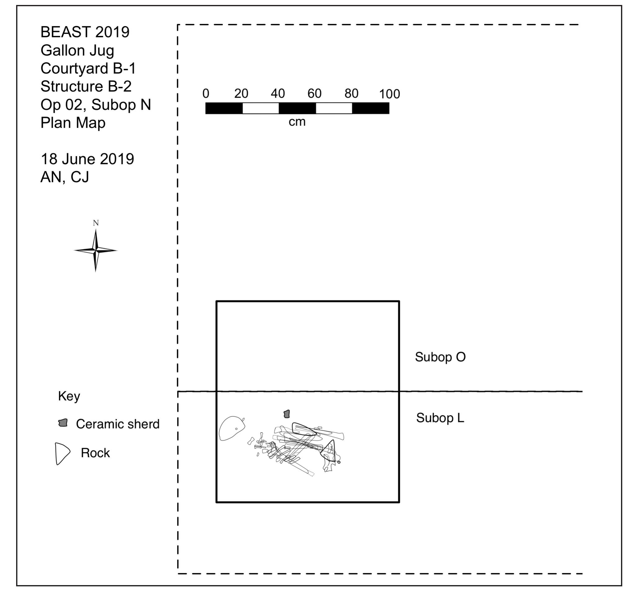9. plan drawing of burial gj-b02. anterior teeth. one