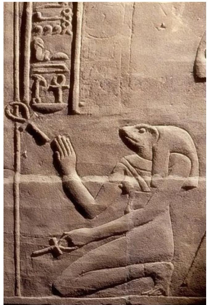 The ancient egyptian goddess heget. one well know example is