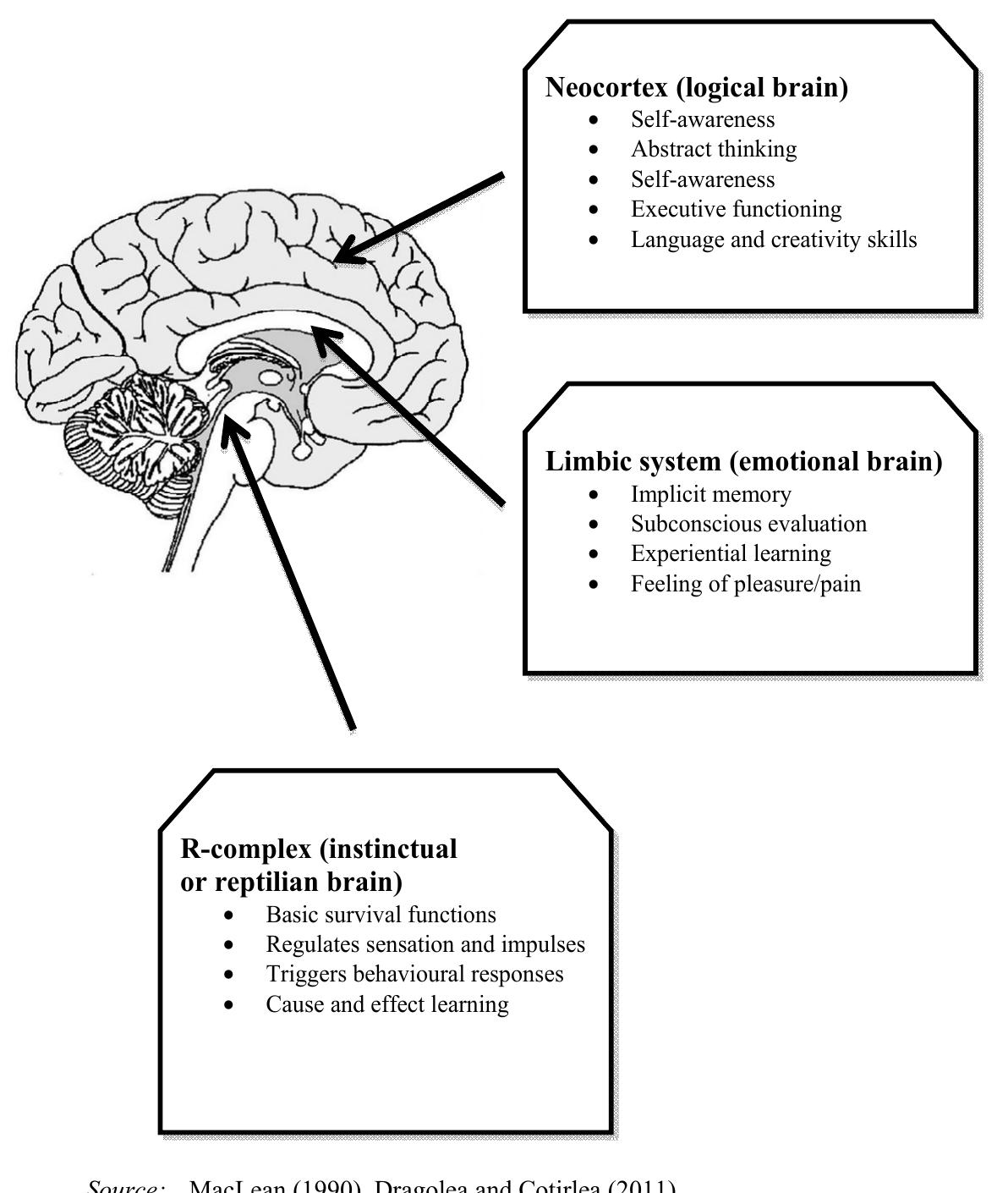 Figure 1 - from Neuromarketing: a change in marketing tools