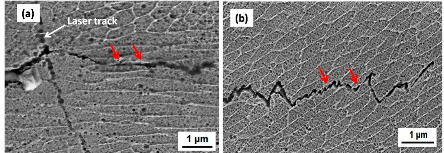 Cross sectional sem image (backscattered electron contrast)