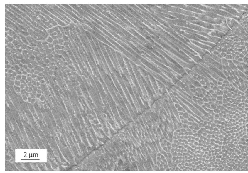 Sem micrograph showing the cellular/dendritic solidification