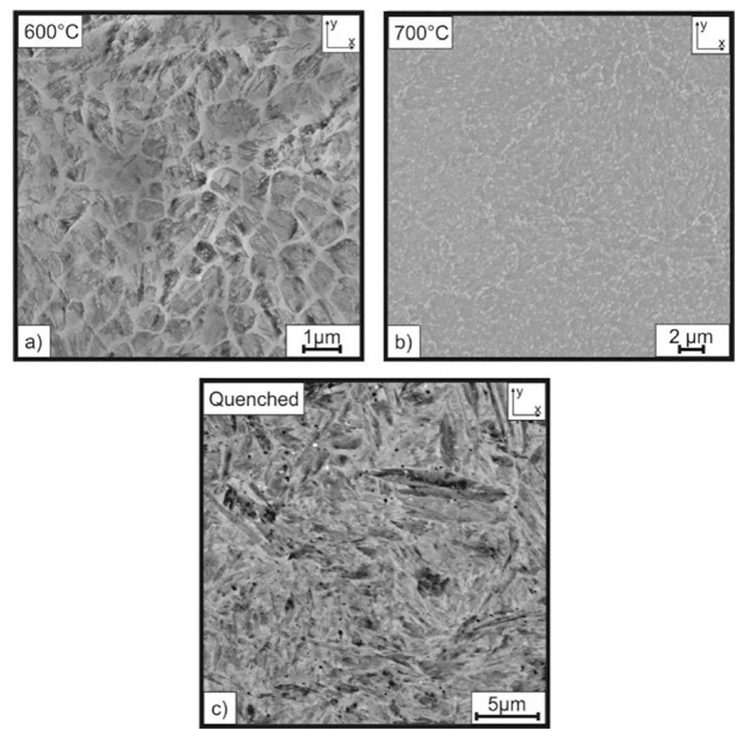 Sem micrographs showing the microstructure of h13 steel