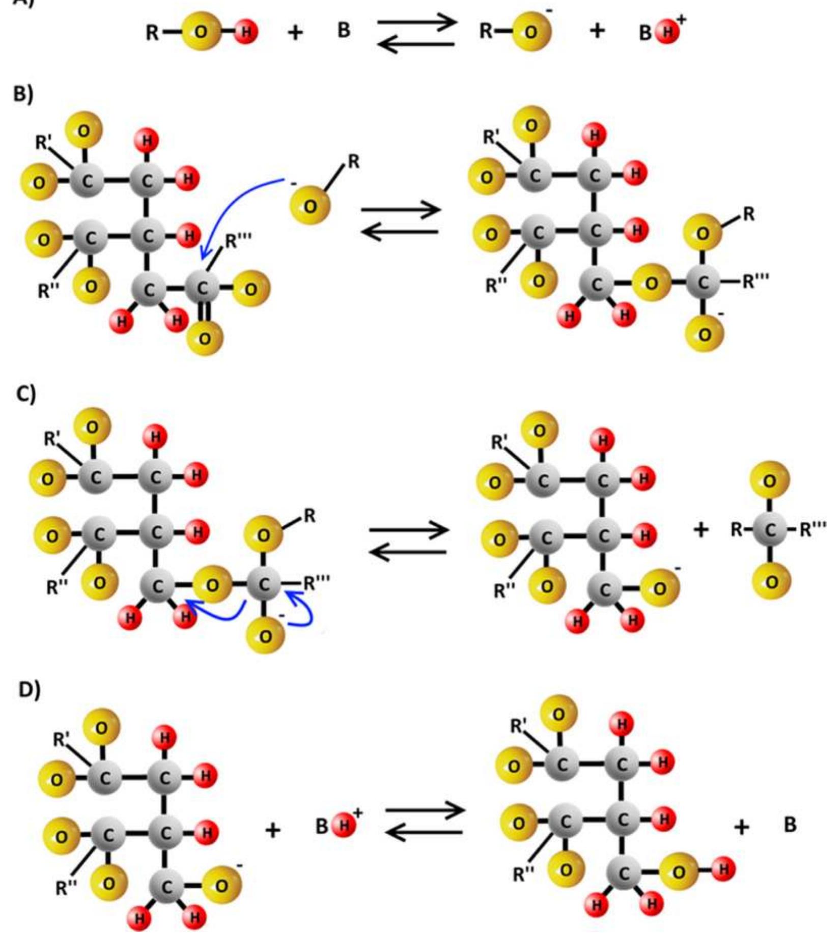 Schematic steps of base-catalyzed transesterification.