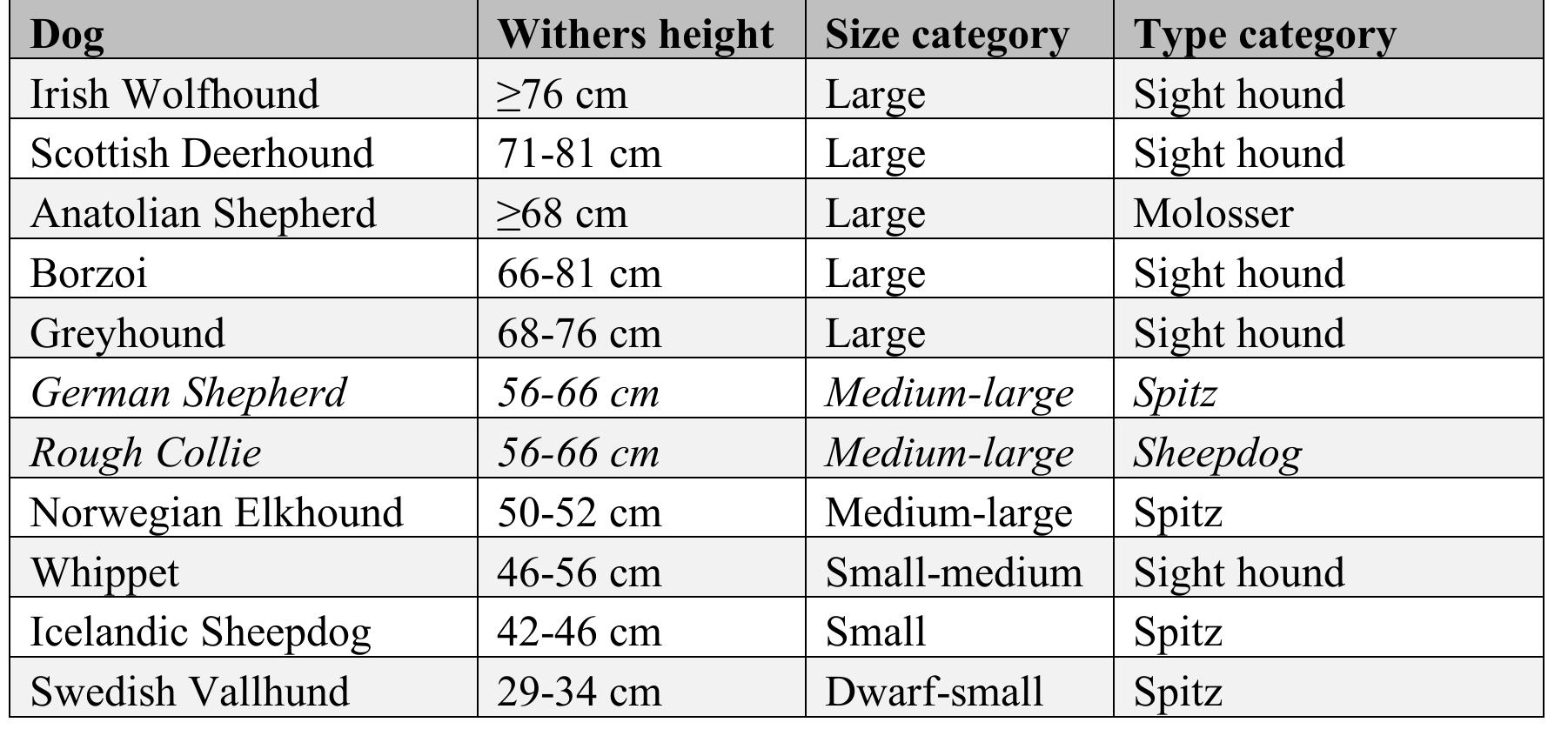 Named dog breeds used as comparisons in this study; withers