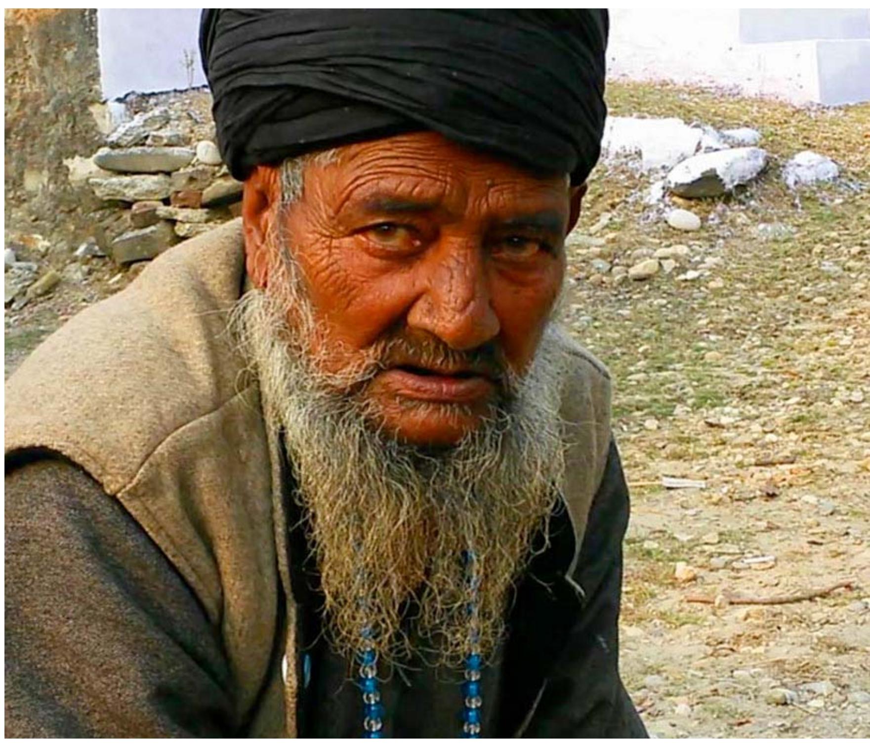 Figure 28 - Lions of Islam: Symbols of Masculine Power in