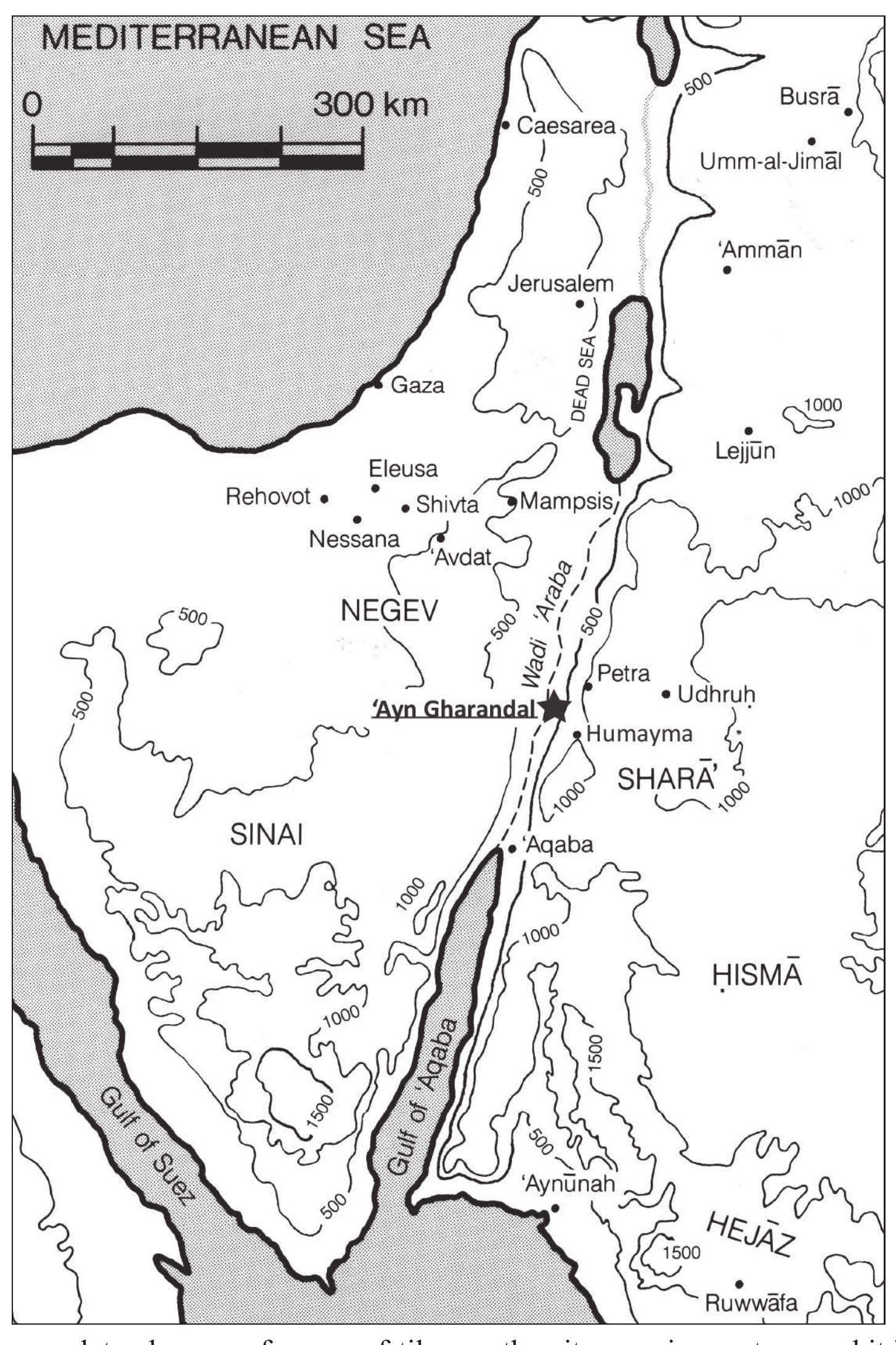 Figure 1 - A Preliminary Typology of Brick and Tubuli from