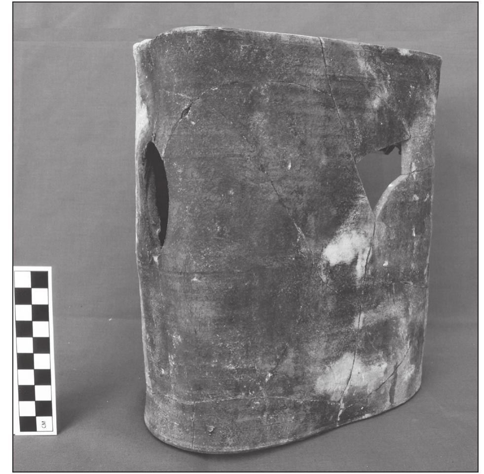 14. photo of type 3 tubulus - 60039 (c. a. harvey). 13.