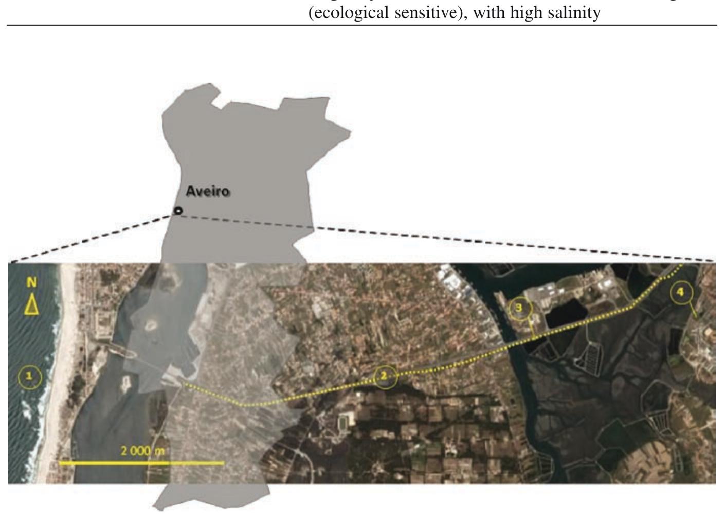 Portugal map and satellite view (google earth, 2008) of the