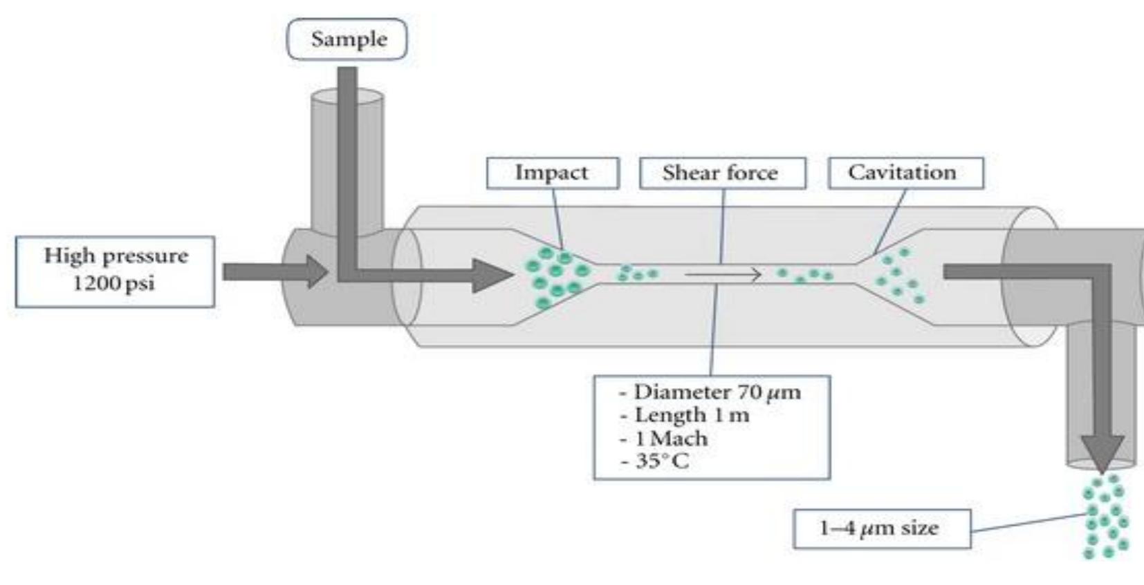 E solid dispersion: there are various techniques for