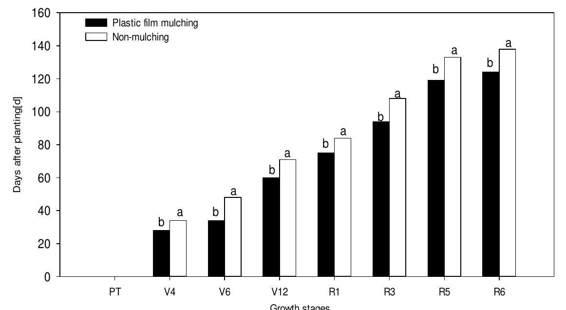 - duration of growth stages of maize in plastic film