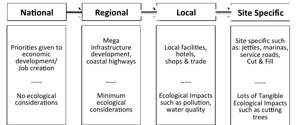 Conceptual diagrams showing stages of ecological