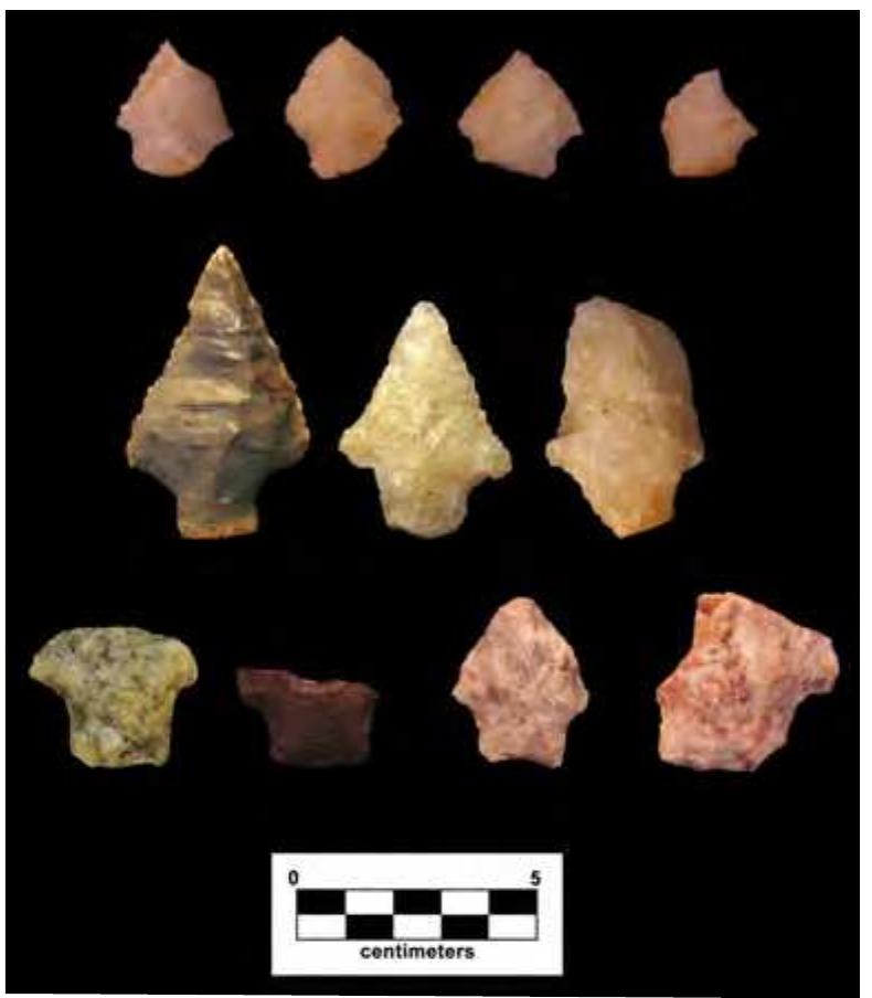 A sample of late archaic projectile points from sandy creek